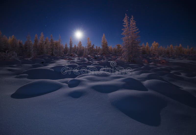 Winter Night Landscape with Forest, Moon and Cliffs Under the Snow ...