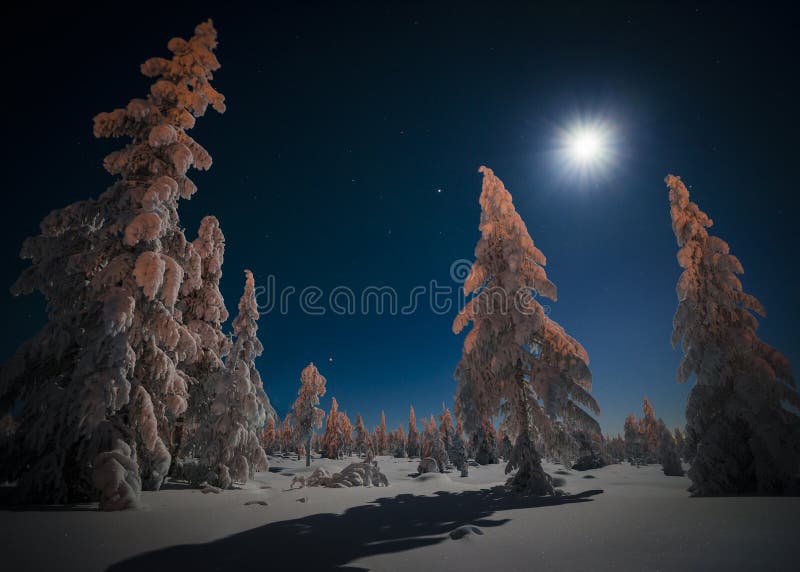 Winter Night Landscape with Moon and Forest. Christmas Fairytail Stock ...