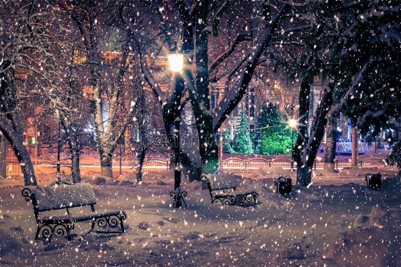 Winter Night Park with Lanterns, Benches, Pavement and Trees Covered ...