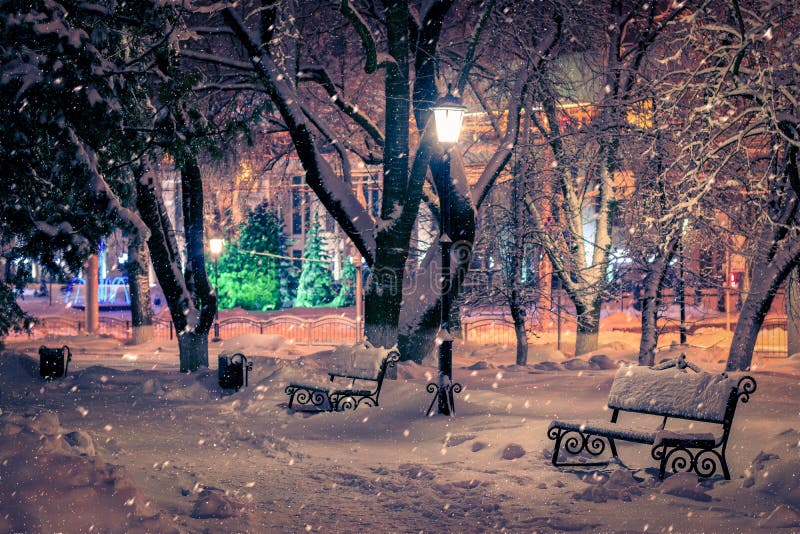 Winter Night Park with Lanterns, Benches, Pavement and Trees Covered ...