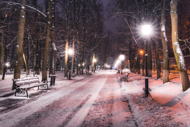 Winter Night Park with Lanterns, Benches and Trees Covered with a Snow ...
