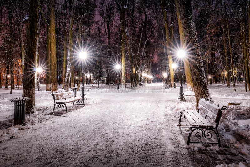 Winter Night Park with Lanterns, Benches and Trees Covered with a Snow ...