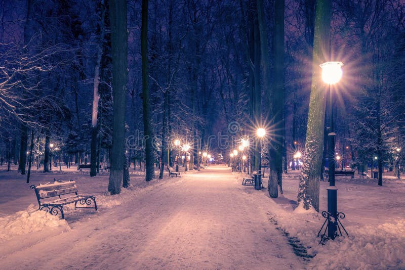 Winter Night Park with Lanterns, Benches and Trees Covered with a Snow ...