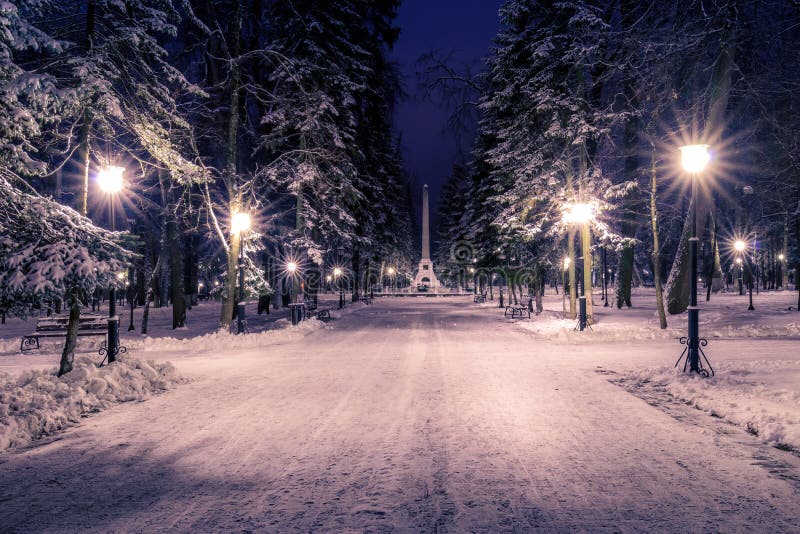 Winter Night Park with Lanterns, Benches and Trees Covered with a Snow ...