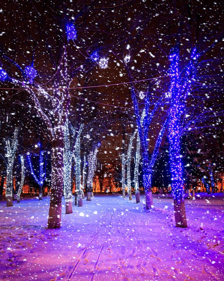 Winter Night Park with Lanterns and Christmas Decorations in Snowfall ...