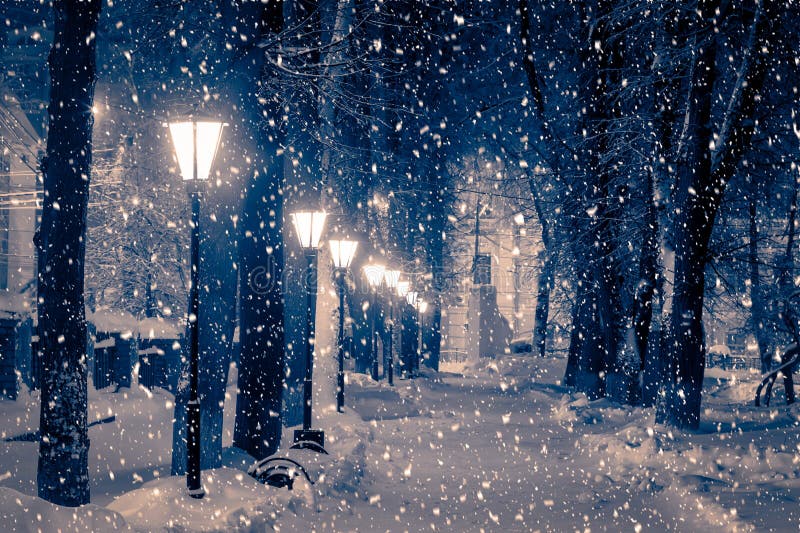 Winter Night Park with Lanterns, Pavement and Trees Covered with Snow ...