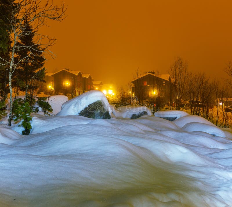 Winter scene stock image. Image of forest, evening, frozen - 11884773