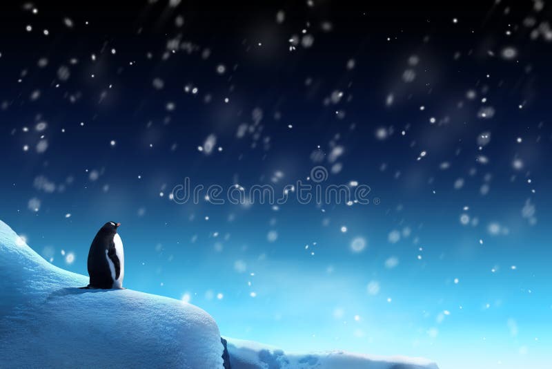 Winter Penguin with Sunglasses Stock Image - Image of expedition ...