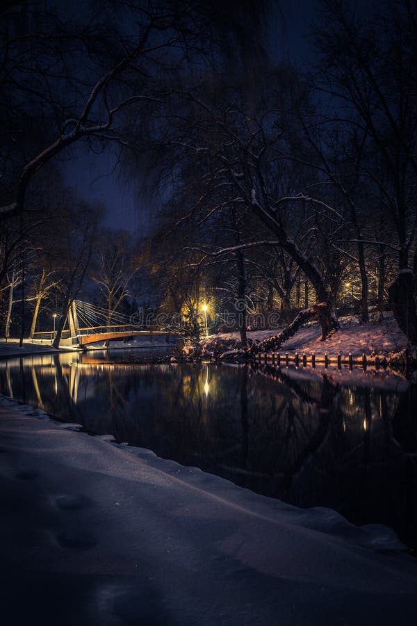 A winter night scene stock image. Image of winter, colored - 138835521
