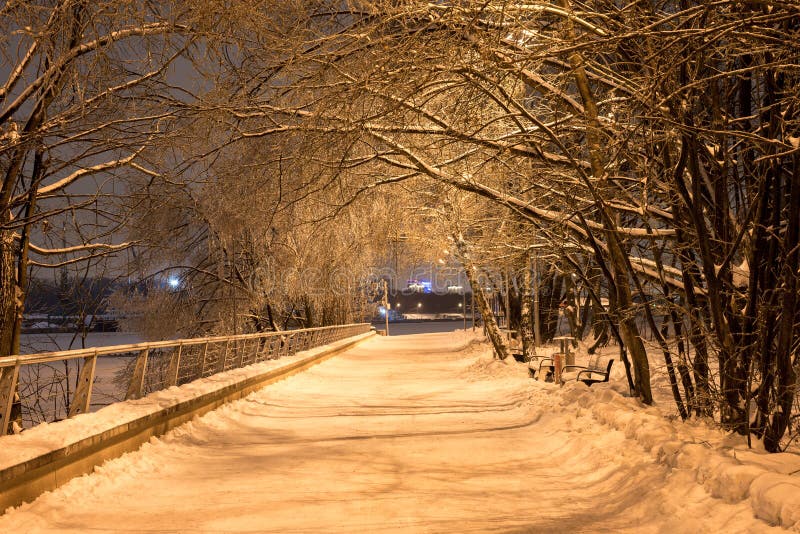 Winter Night Snow Falls in the Park Stock Image - Image of outdoor ...