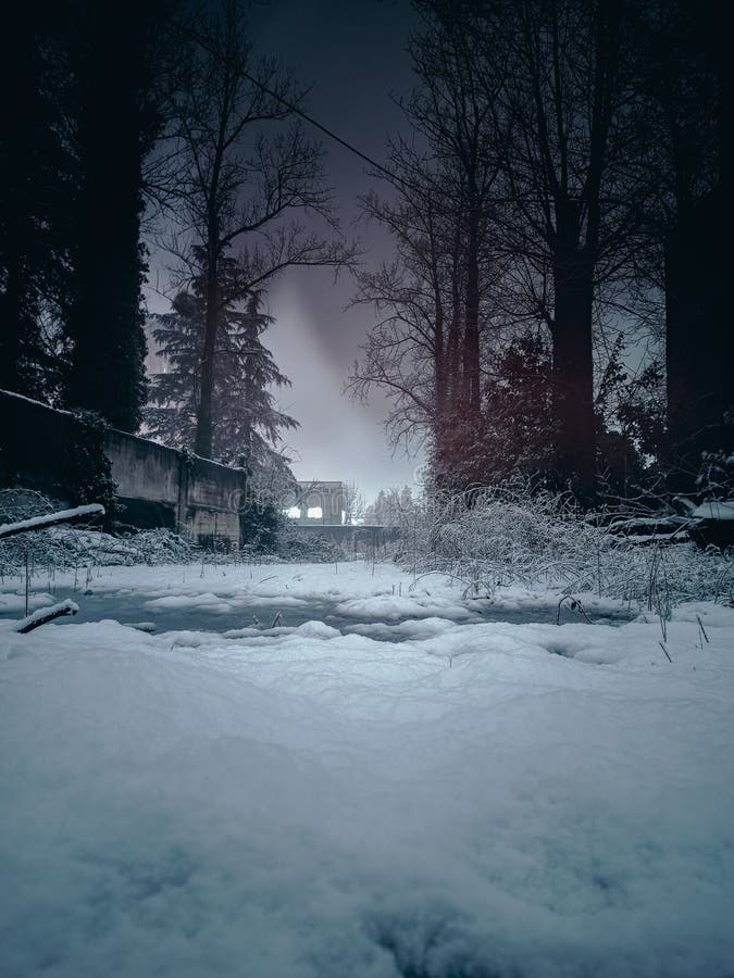 Winter night snow lake stock image. Image of night, dark - 175098895