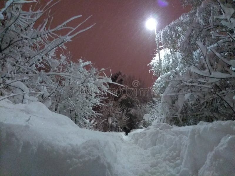 Winter night snow night stock image. Image of romanticwinter - 162918425