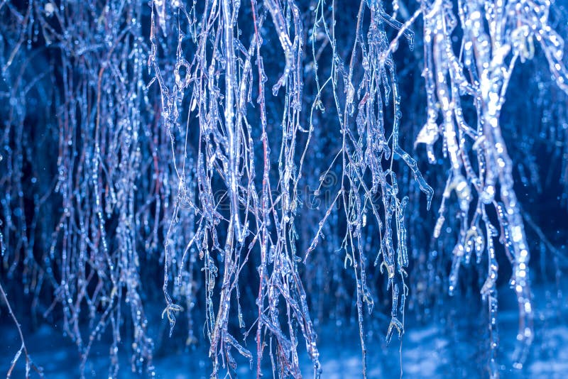 Winter night Trees in ice stock image. Image of branch - 80796769