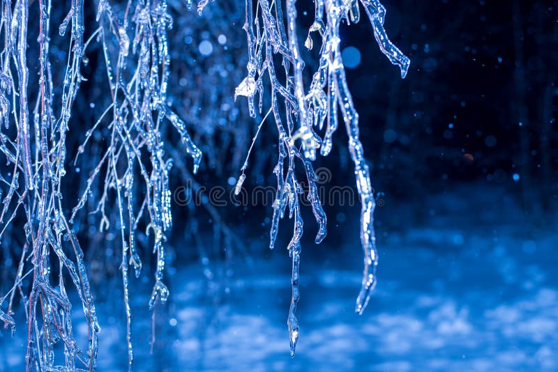 Winter night Trees in ice stock photo. Image of huge - 80798954