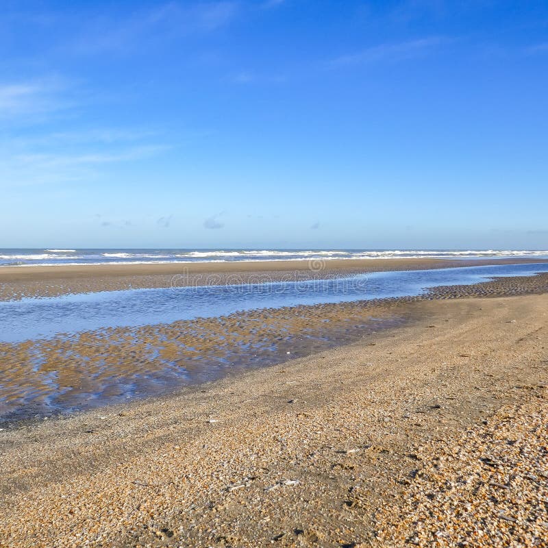 Sandy north sea beach stock image. Image of winter, nature - 167910469