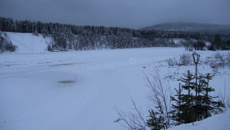 Heart of Vidsel stock image. Image of happiness, gesturing - 151048803
