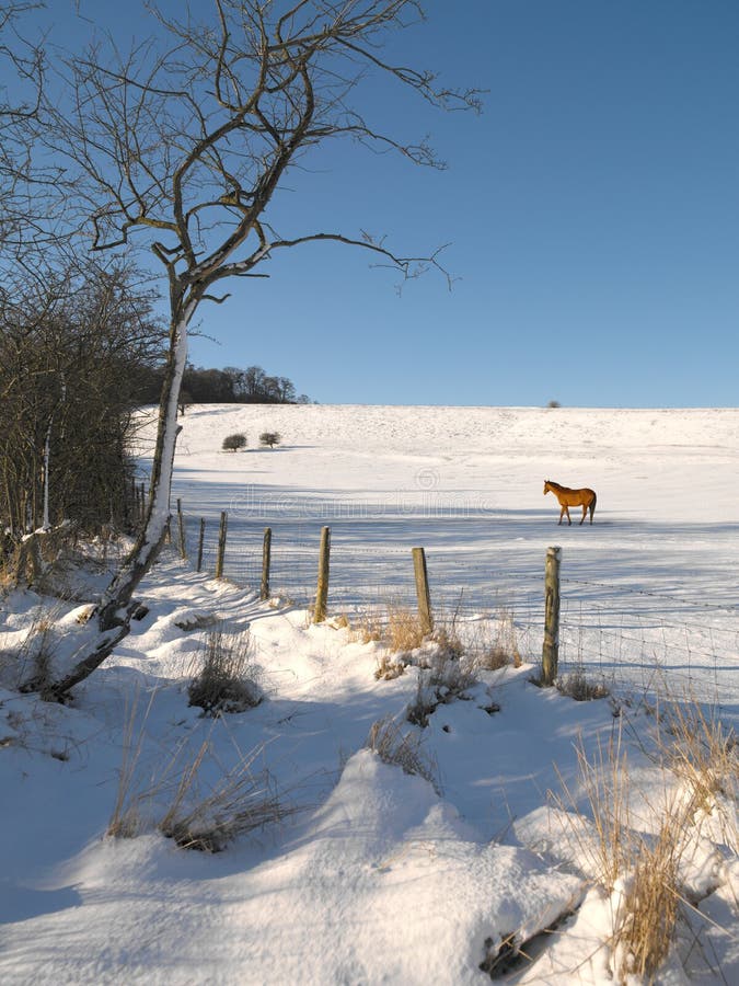 Winter Scenery - North Yorkshire - England Stock Image - Image of ...