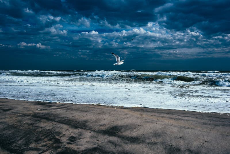 Winter Ocean stock photo. Image of beach, island, atlantic - 145944916
