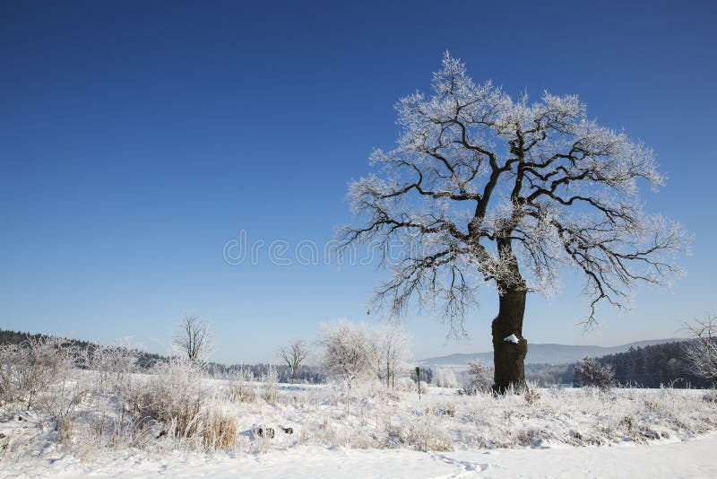 Winter stock image. Image of landscape, frost, highway - 65482295