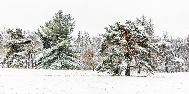 Winter in Ontario, Canada stock photo. Image of fall - 169794470