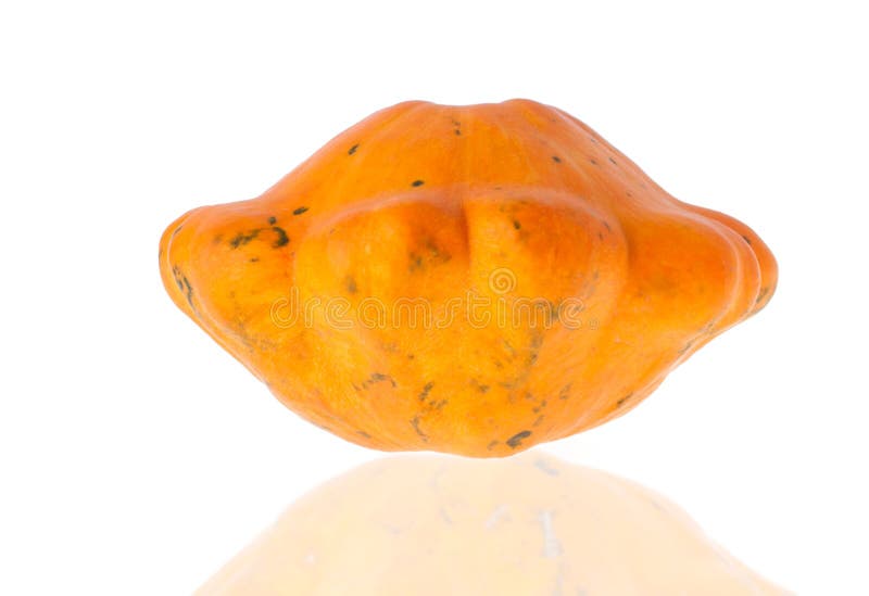 Winter Orange Squash stock photo. Image of orange, background - 45433804