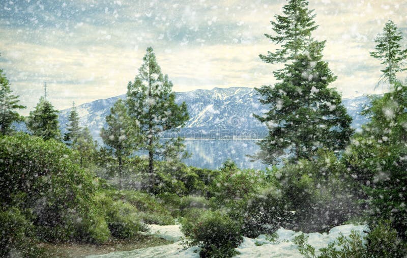 Winter outdoor stock photo. Image of landscape, december - 51609316