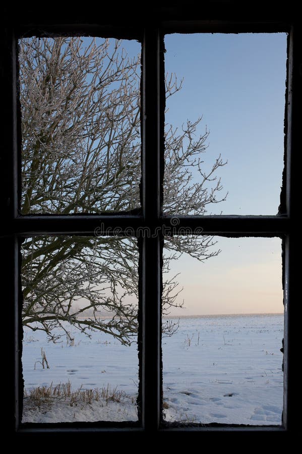Window View with Olive Trees Stock Image - Image of house, brick: 11531173