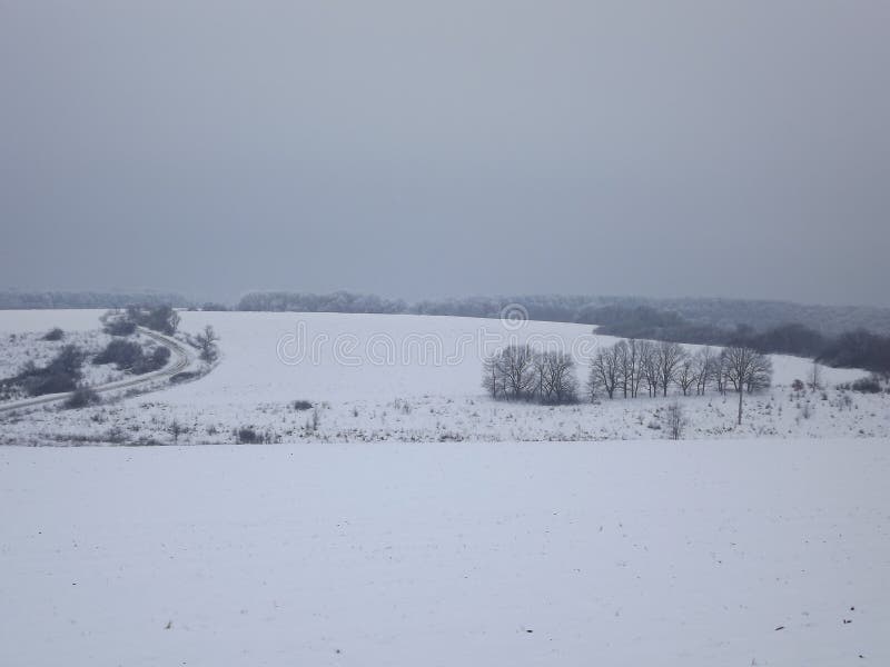 Winter Outside the City. Snowy Fields. Stock Photo - Image of land ...