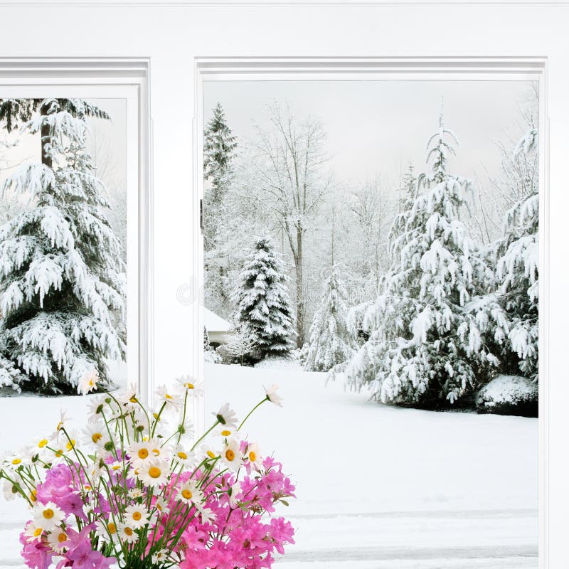 Winter Outside Flowers Inside Stock Photo - Image of seasons, winter ...