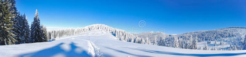 Winter panorama stock photo. Image of frozen, cold, scene - 18226846