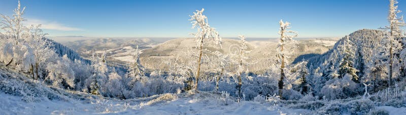 Winter panorama stock photo. Image of beautiful, light - 45292404