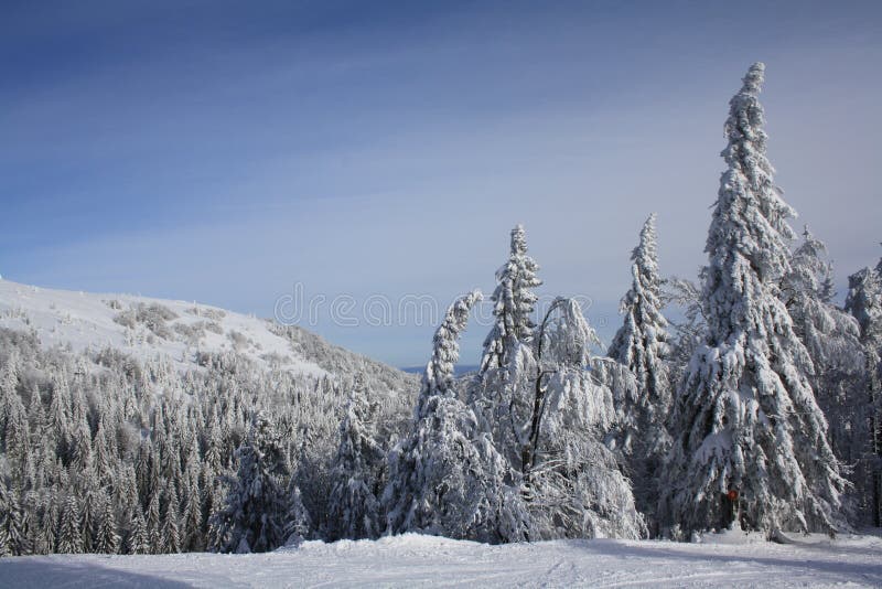 Winter paradise stock image. Image of beauty, trail, trails - 62564847