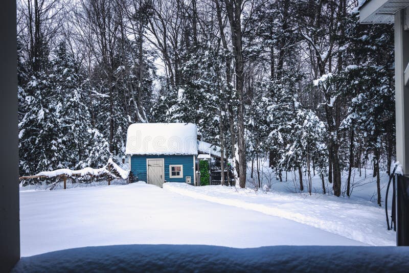 Winter Paradise Canada January in 2023 Stock Image - Image of season ...