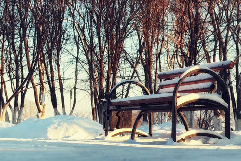 Winter Park bench Alley stock photo. Image of beautiful - 199661064