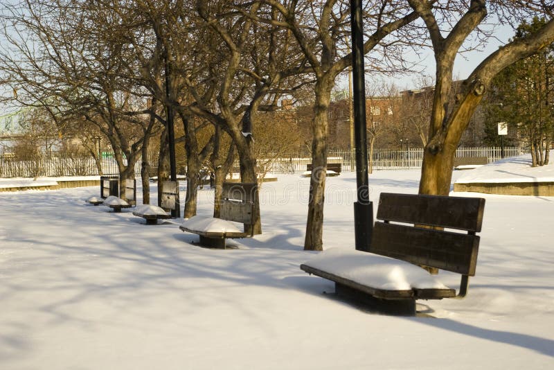 Winter Park Bench Untouched Snow Incity Stock Photo - Image of leisure ...
