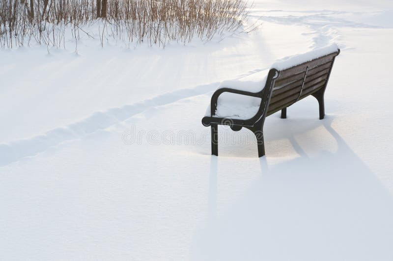 Winter park bench stock image. Image of deep, pure, solitude - 66401345