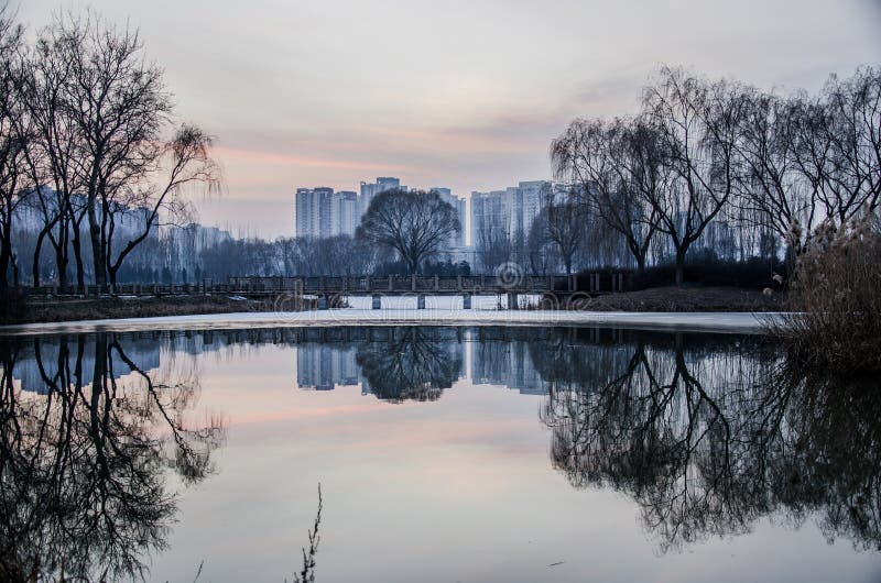 Winter Park stock photo. Image of post, withered, cold - 64283352