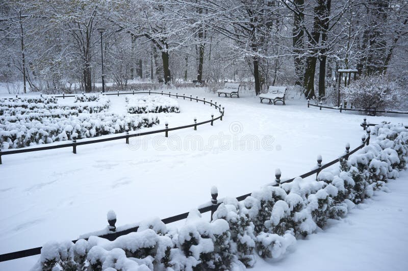 Winter park stock image. Image of frozen, plant, scenic - 29853921