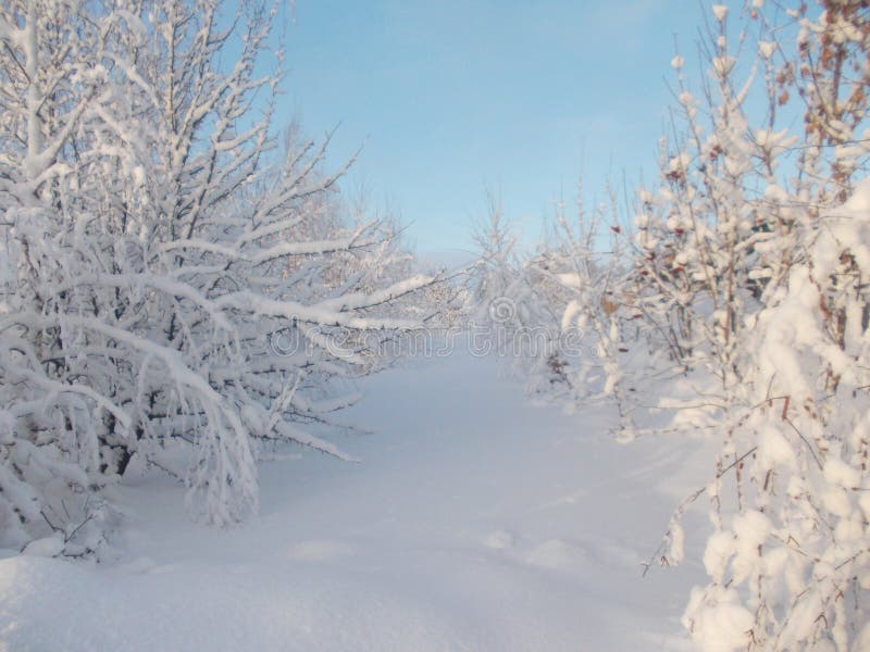 Winter Park in deep snow stock image. Image of nature - 164539081