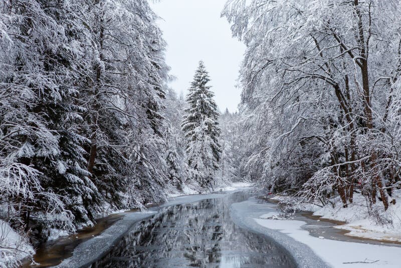 Winter Park with Frozen Water Stream and Snowy Trees Stock Image ...