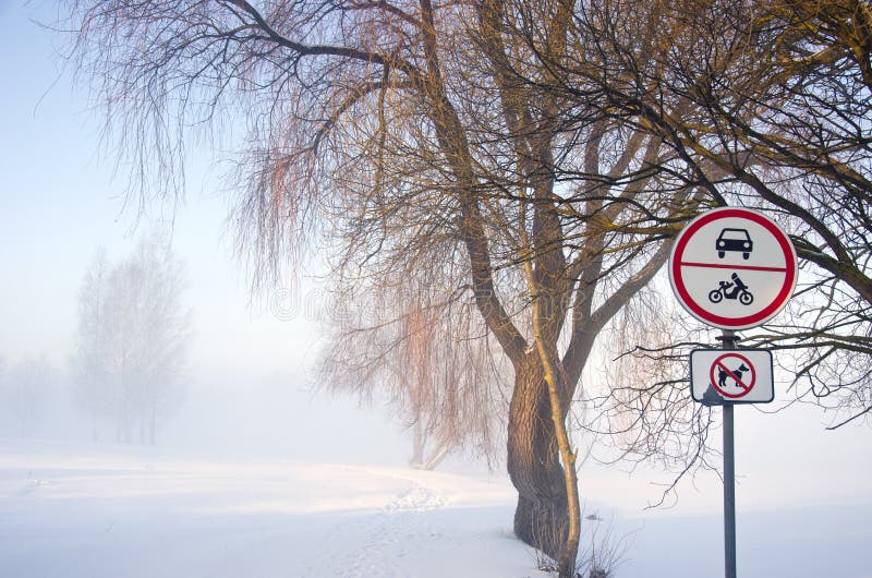 Winter Park Landscape with Fog and Road Sign Stock Image - Image of ...