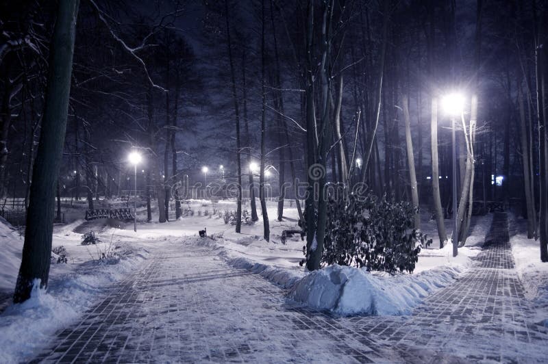 Winter park at night. stock image. Image of landscape - 12512091