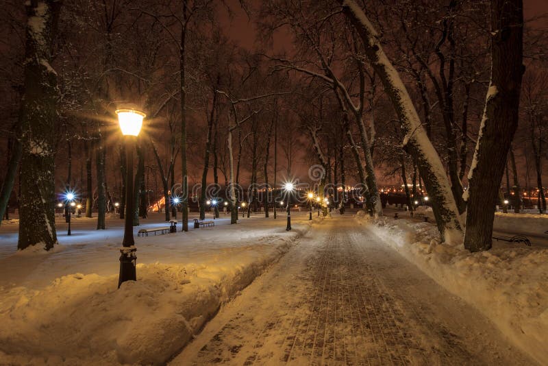 Winter park at night stock photo. Image of snowfall - 186863710