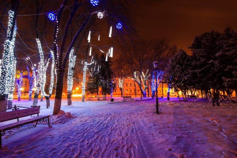 Winter park at night stock photo. Image of path, peaceful - 186867748