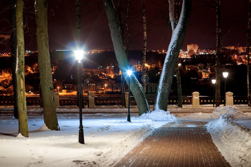 Winter park at night stock image. Image of seasonal - 186953077