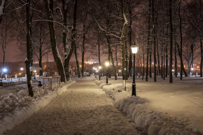 Winter park at night stock image. Image of cold, scene - 186993697