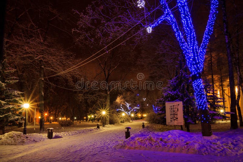 Winter park at night stock image. Image of scene, beautiful - 186867071