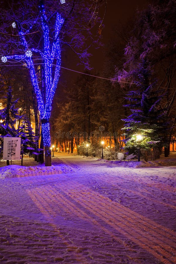 Winter park at night stock photo. Image of night, lamp - 186863530