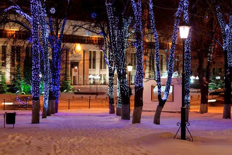 Winter park at night stock photo. Image of february - 186993078