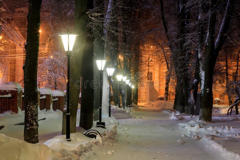 Winter park at night stock photo. Image of season, january - 186952688